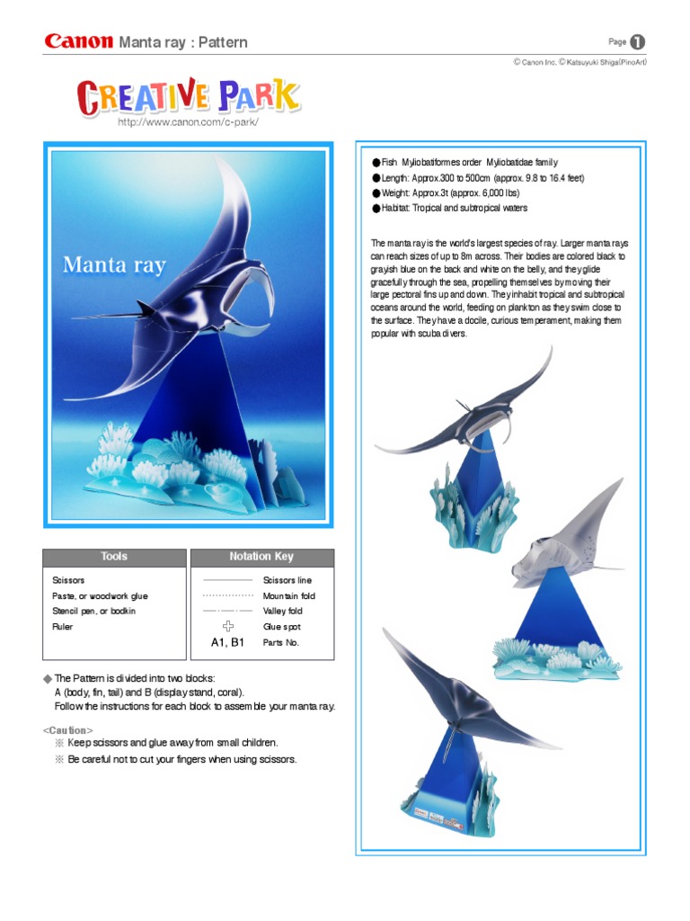 Manta Ray Craft Pattern Instructions | PDF