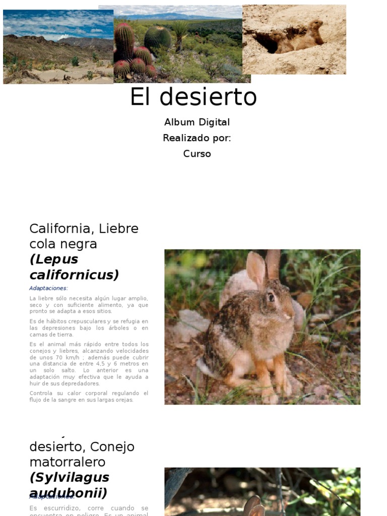 Animales y Flora Desierto | PDF | liebre | Organismos