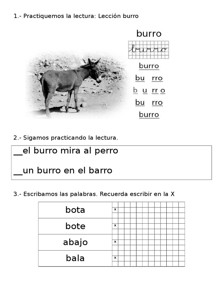 Leccion Burro | PDF