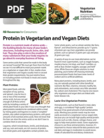 Plant-Based Protein Sources Handout (1) - 1737209874533 | PDF