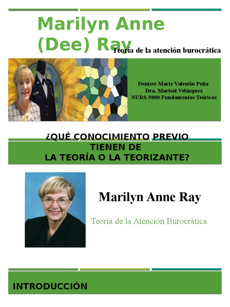 Teoría de Atención Burocrática en Enfermería | PDF | Sociedad | Enfermería