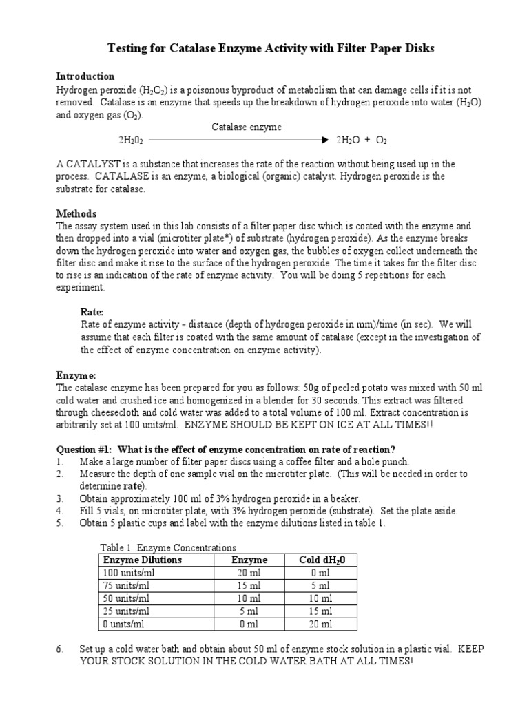 Catalase Activity Test with Filter Disks | PDF | Catalase | Hydrogen ...