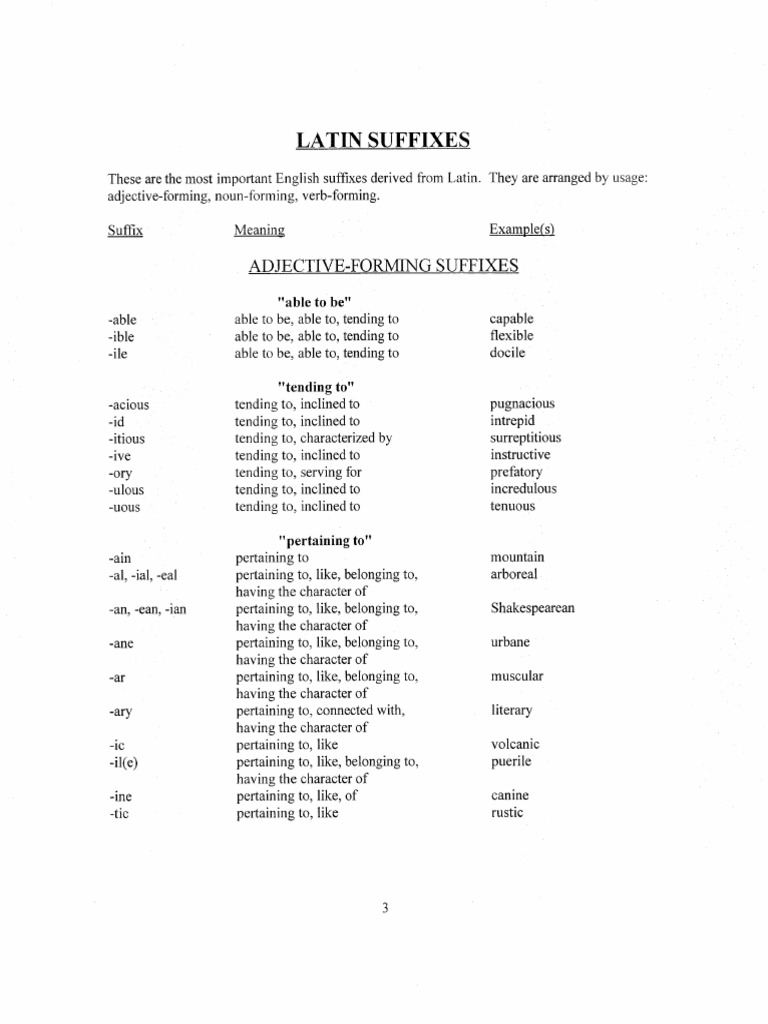 Latinsuffixes: Adjective-Forming Suffixes | Download Free PDF ...
