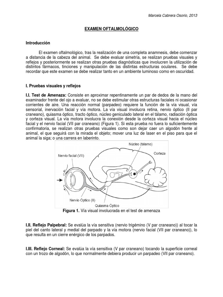 Examenoftalmologico2013 130102160534 Phpapp02 | PDF | Ojo humano ...