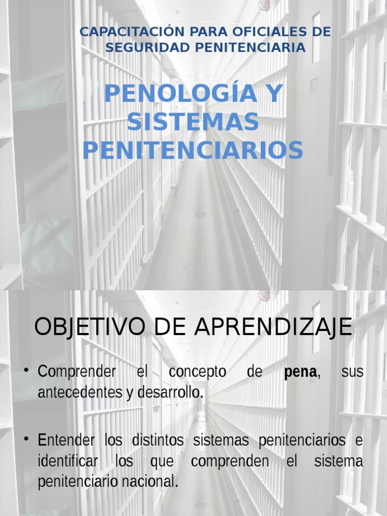 Penología y Sistemas Penitenciarios | PDF | Criminología | Castigos