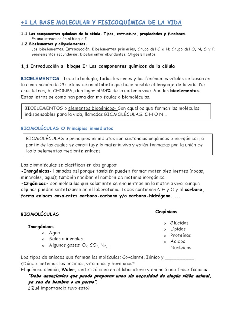 1 Bioelementos y Biomole | PDF | Biomoléculas | Compuestos orgánicos