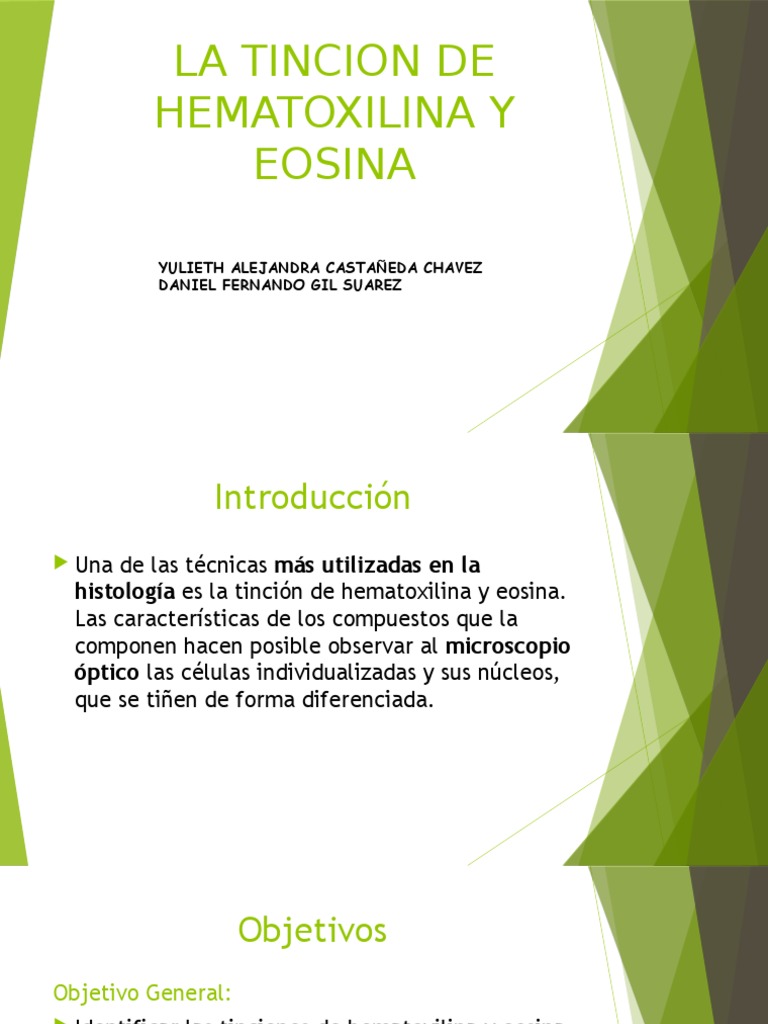 Tincion Hematoxilina y Eosina | PDF | Tinción | Histología