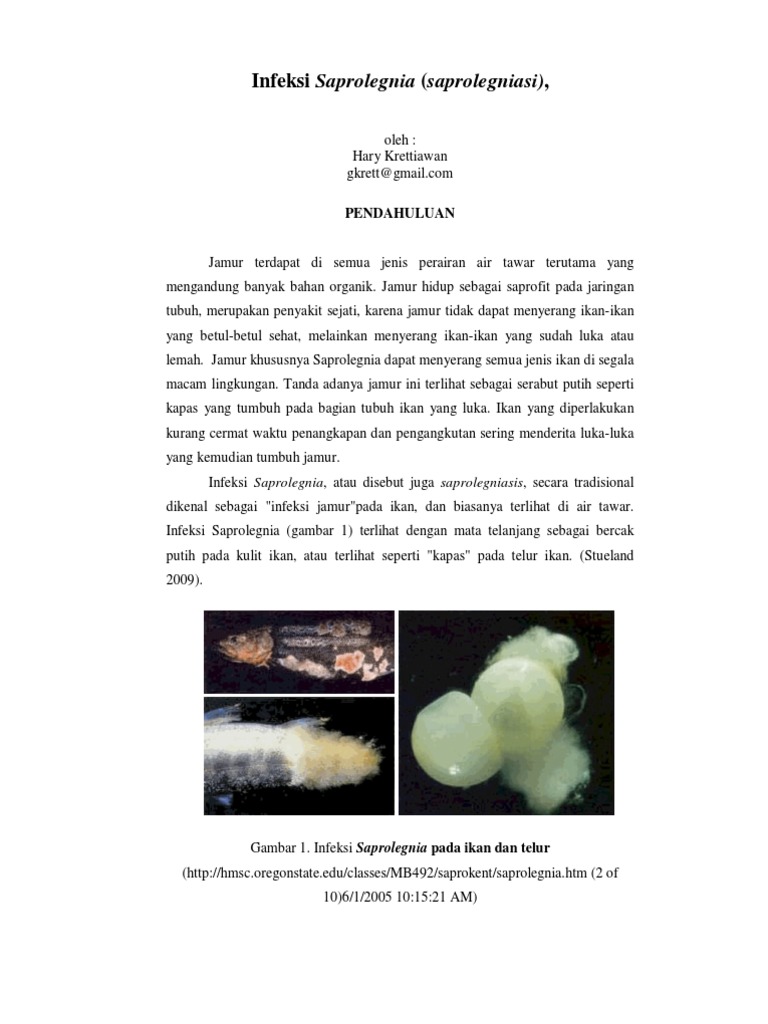 Saprolegnia | PDF