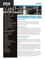 Coade Caesar II Pipe Stress Analysis | PDF | Pipe (Fluid Conveyance ...