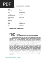 Interpretasi Dap, Baum, HTP | PDF