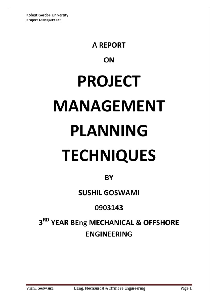Project Management Report | PDF | Project Management | Business Process