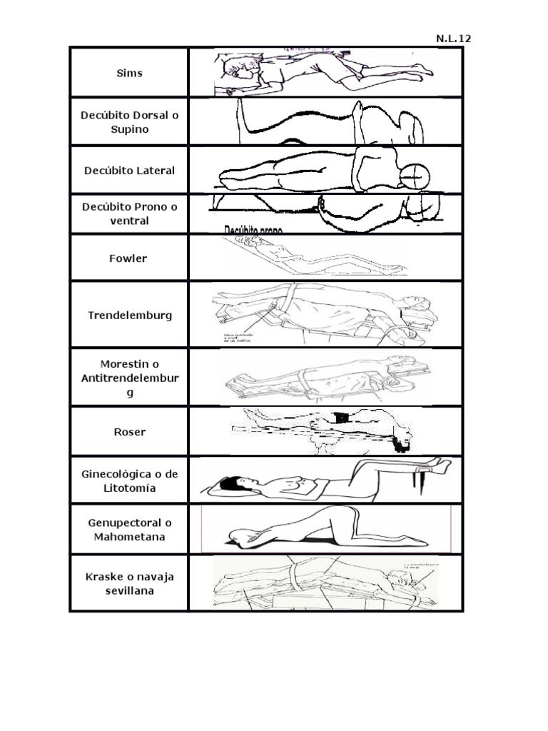 Posiciones Anatomicas | PDF