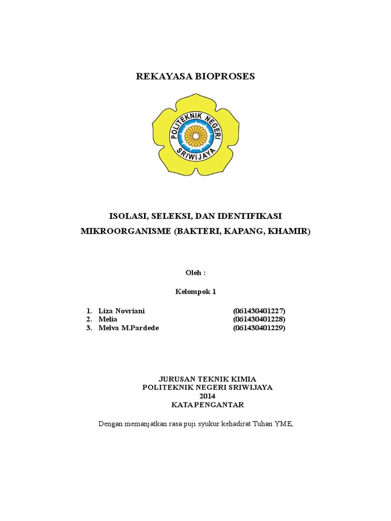 Metode Isolasi dan Identifikasi Bakteri | PDF | Kesehatan Holistik