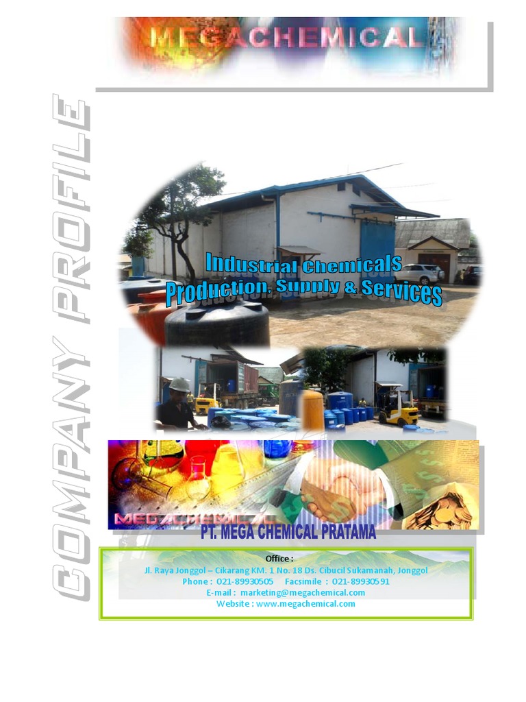 PROFILE Mega Chemical 2012 | PDF | Water Purification | Hydrochloric Acid