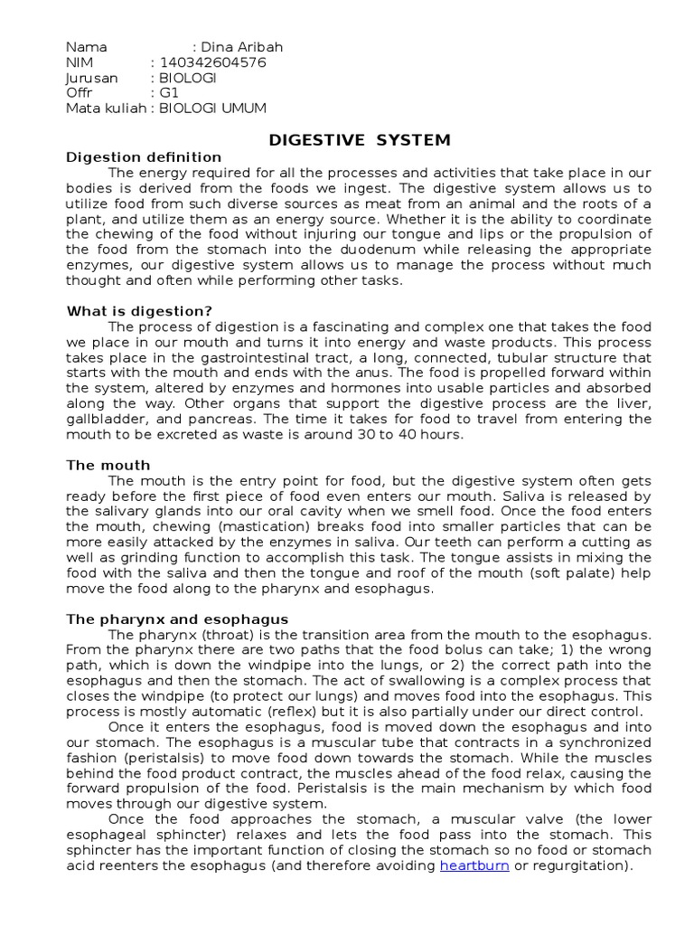 Digestive System: Digestion Definition | PDF | Gastrointestinal Tract ...