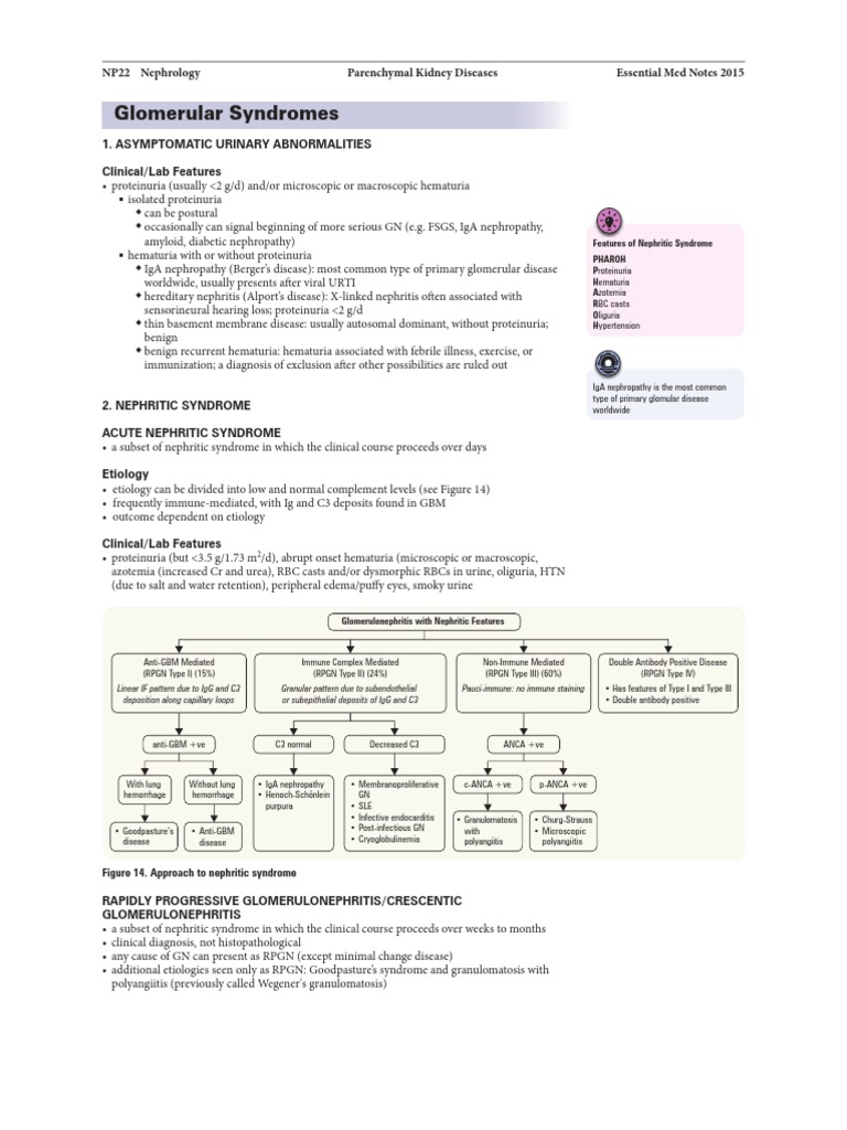Toronto Notes Nephrology 2015 22 | PDF | Kidney Disease | Urological ...