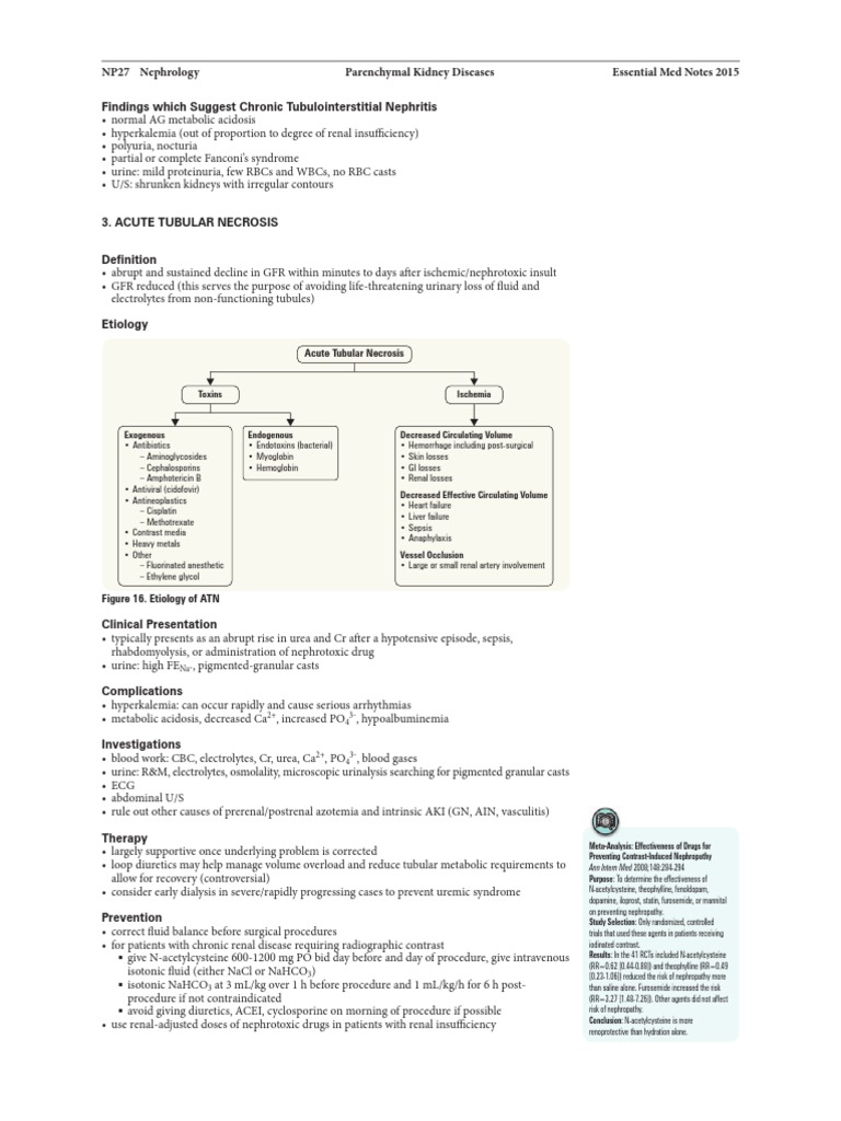 Toronto Notes Nephrology 2015 27 | PDF | Nephrology | Kidney