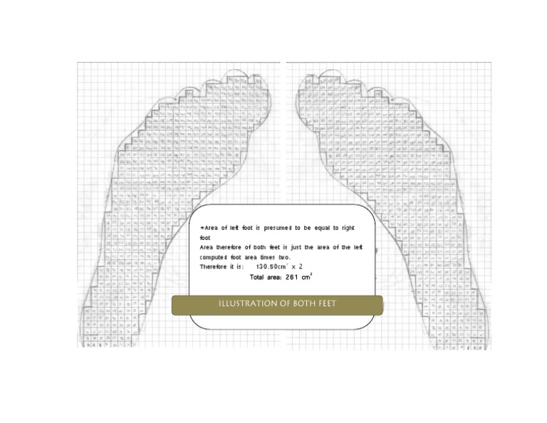 Feet Area | PDF