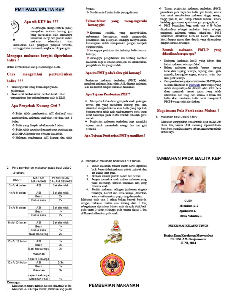 Leaflet PMT Pada Balita Kep | PDF | Kesehatan Holistik | Gaya Hidup