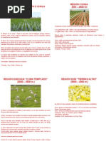 Informe Region NOA | PDF | Entorno natural | Ciencias de la Tierra