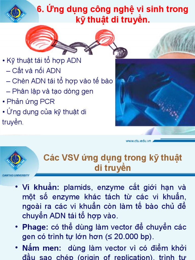 ứng dụng vsv trong kỹ thuật di truyền | PDF
