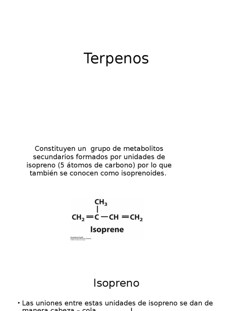 Estructura y funciones de los terpenos | PDF | Bioquímica | Química