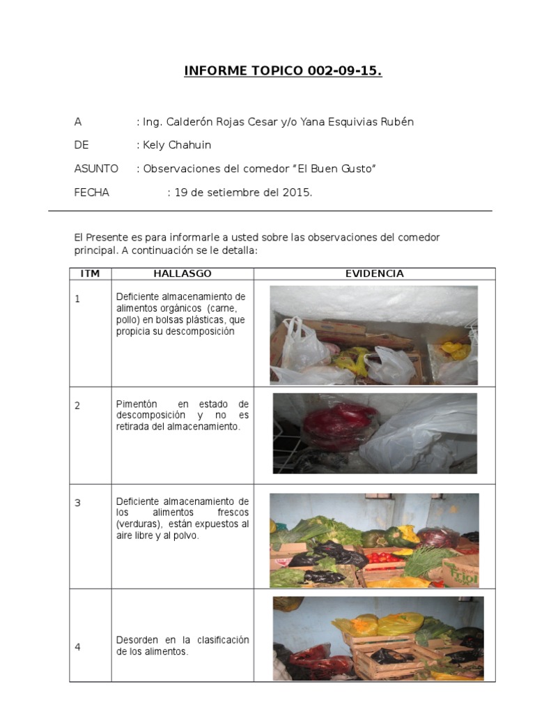 Informe Comedor | PDF