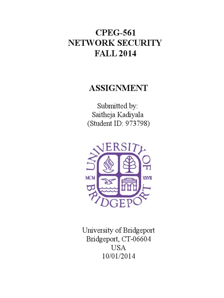 Network Security Assignment 973798 | PDF | Information Age | Computer ...