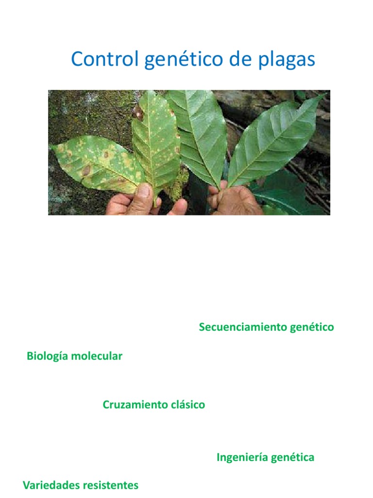 Control Genético de Plagas | Gene | Filogenética Molecular