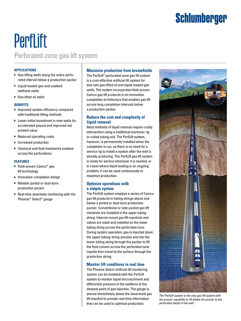 Perflift: Perforated-Zone Gas Lift System | PDF | Chemical Engineering ...