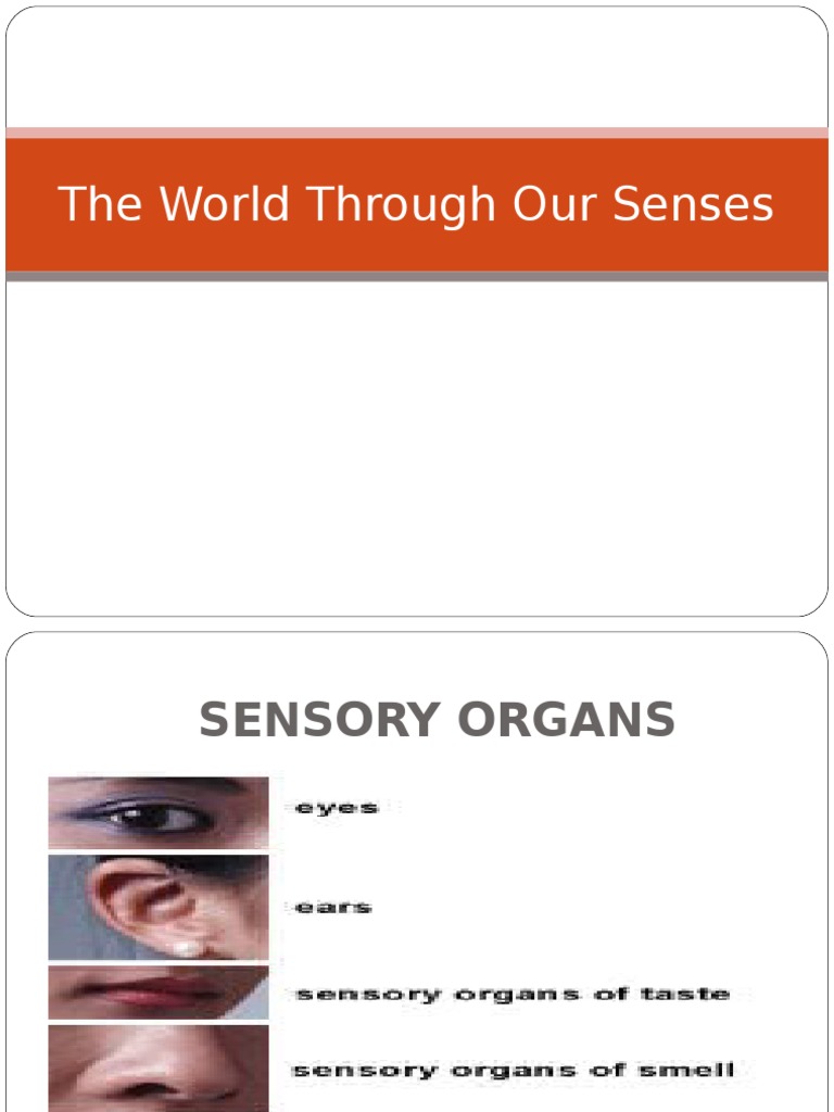 World Through Our Senses (All Sensory Organs) | PDF | Ear | Senses
