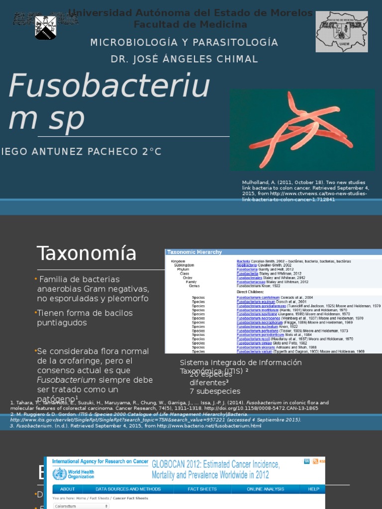 Genero Fusobacterium | PDF | Microbiología | Especialidades Medicas