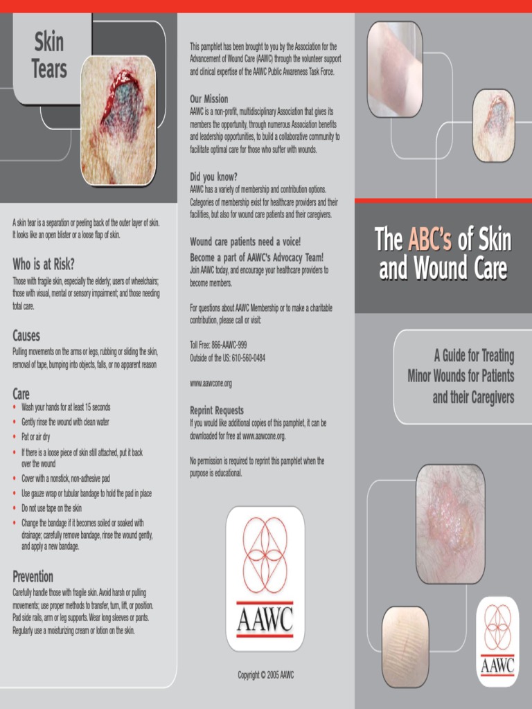 ABCs Skin and Wound Care | Wound | Diseases And Disorders | Free 30-day ...