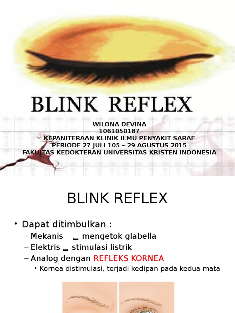 Blink Reflex | PDF
