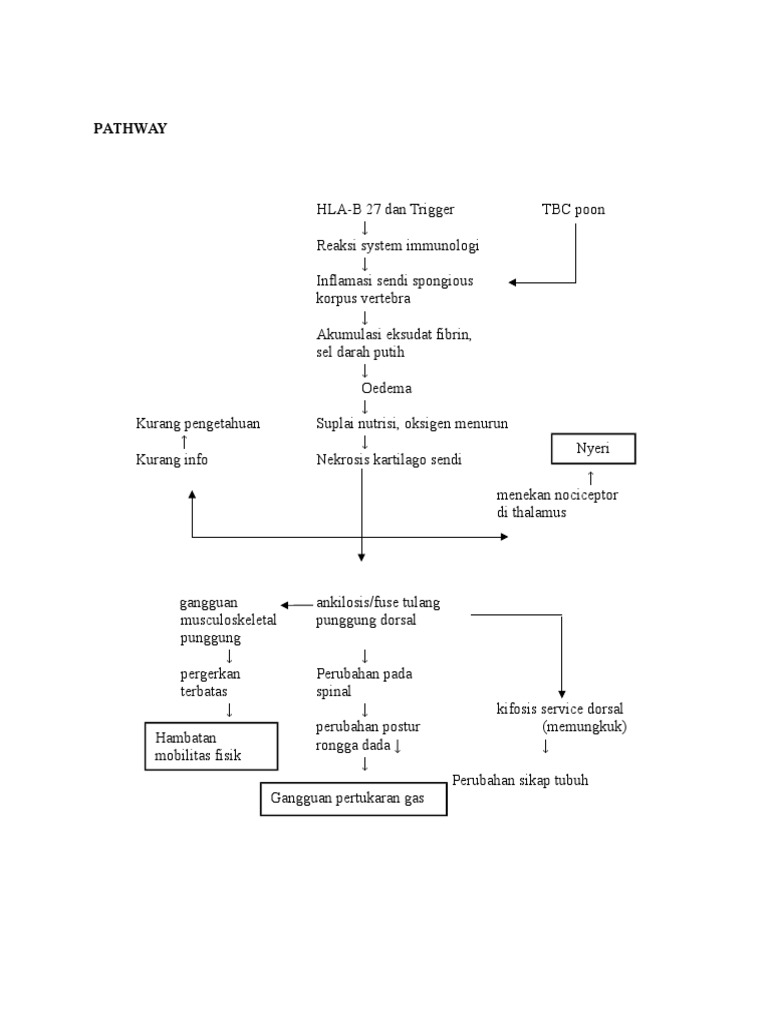 Pathway Spondilitis TB | PDF