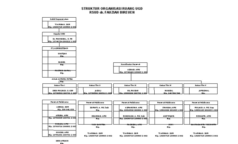 Struktur Organisasi Ruang Ugd | PDF