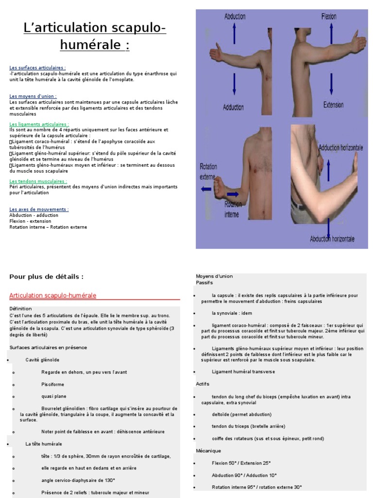 5 Articulation Scapulo Humerale | PDF | Articulation (anatomie) | Épaule