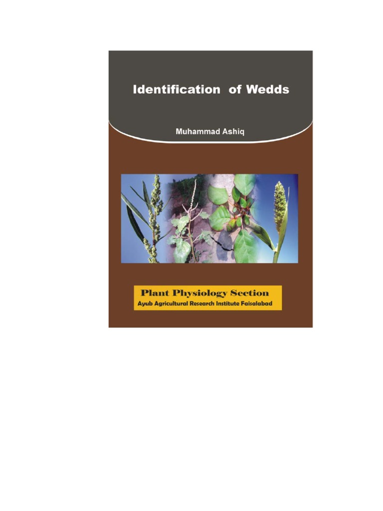 Weeds Identification | PDF | Herbicide | Plants