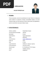 Curriculum Vitae Practicante Senati | PDF