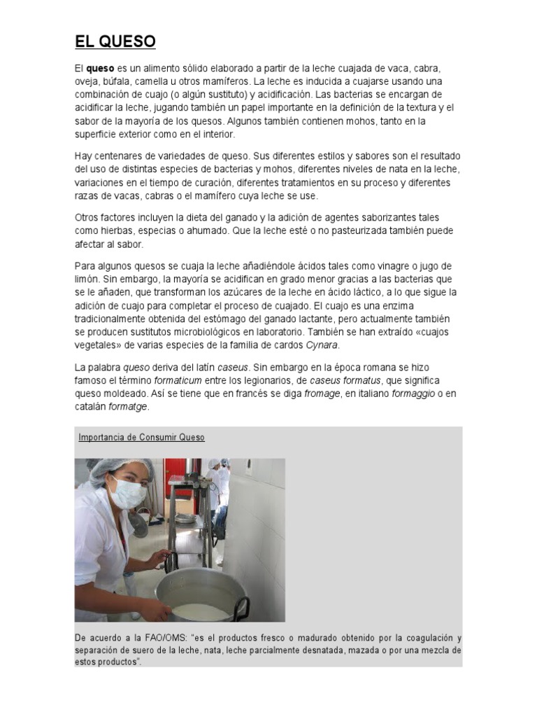 Elaboracion Del Queso | PDF | Queso | Productos lácteos