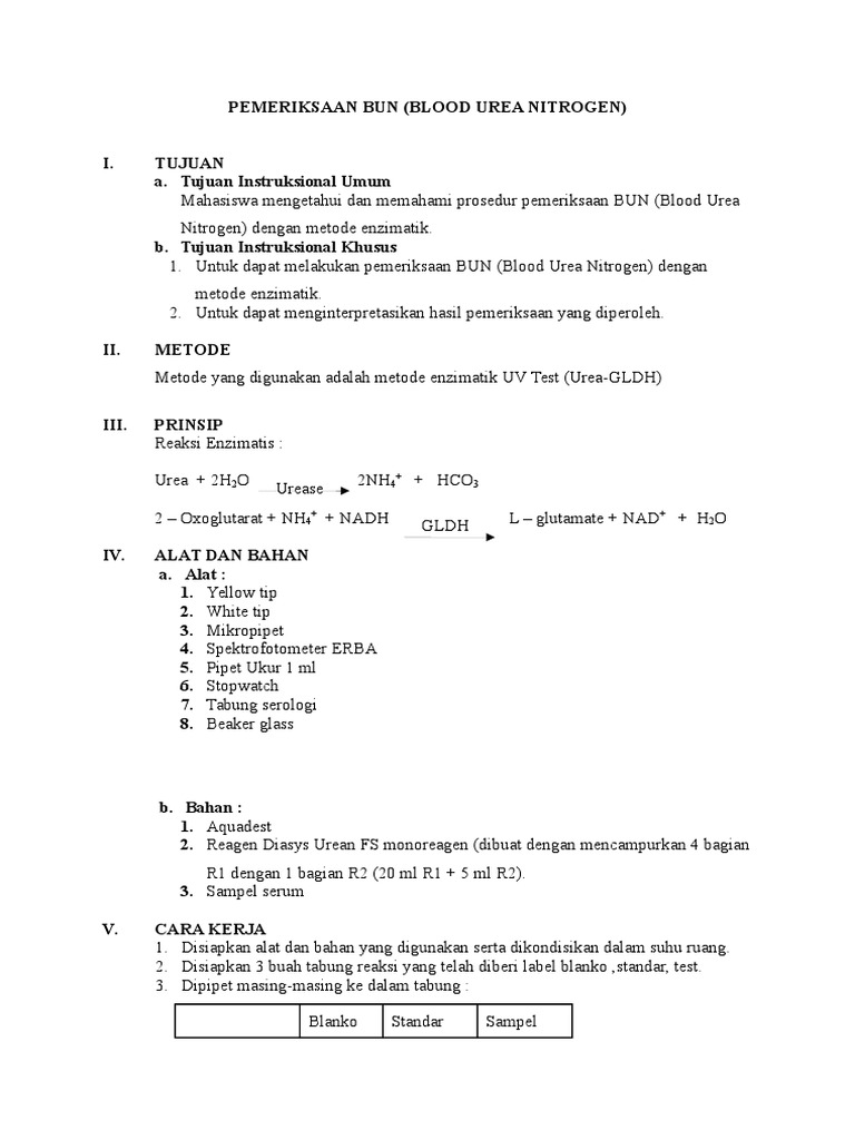 Pemeriksaan Bun | PDF