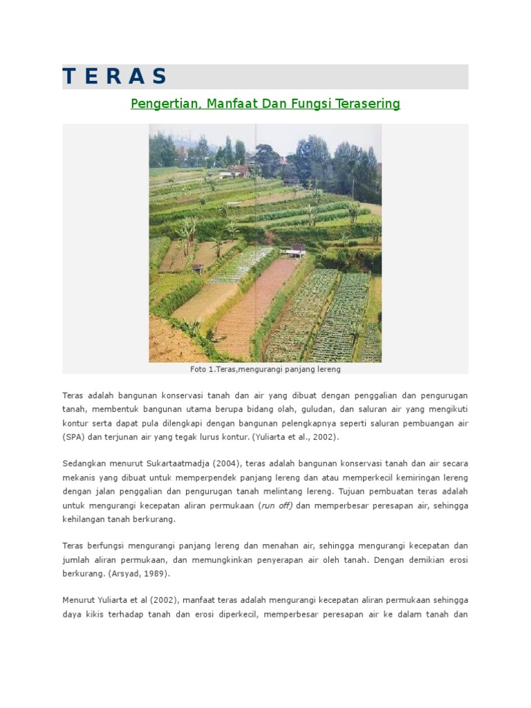 Fungsi Dan Manfaat TeraSering | PDF | Griya & Taman | Seni