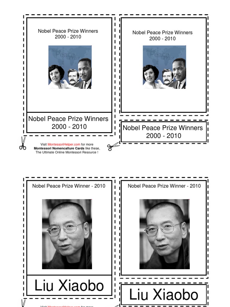 Nobel Peace Prize Winners 2000-2010: A Decade of Laureates Recognized ...