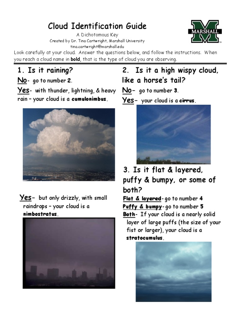 Cloud Identification Guide | PDF