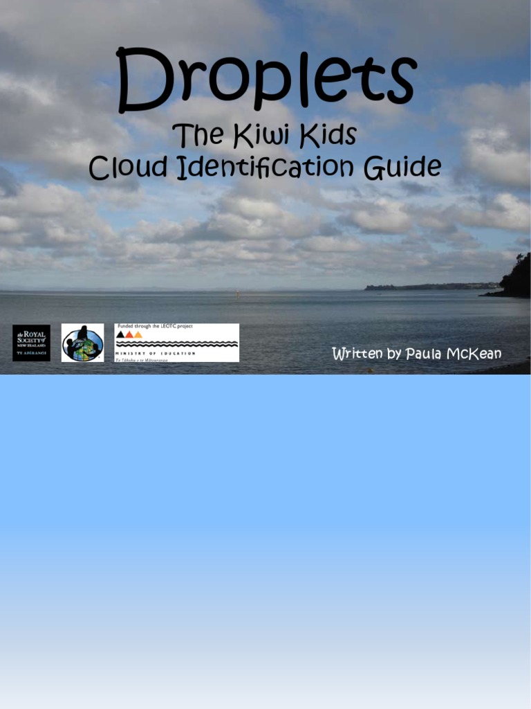 Cloud Identification Guide | PDF | Cloud | Rain
