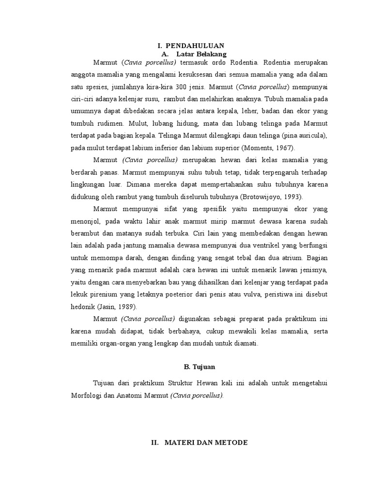Morfologi dan Anatomi Marmut | PDF