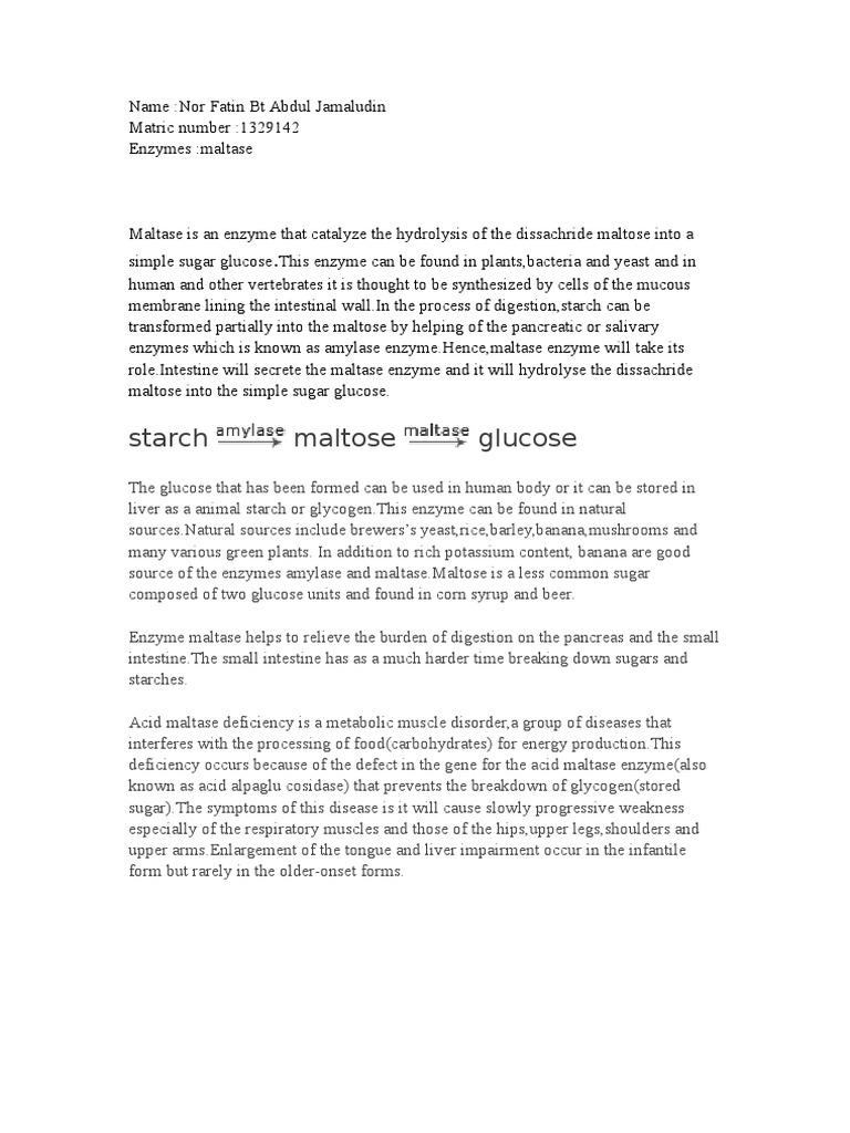 Starch Maltose Glucose | PDF | Cooking, Food & Wine | Wellness