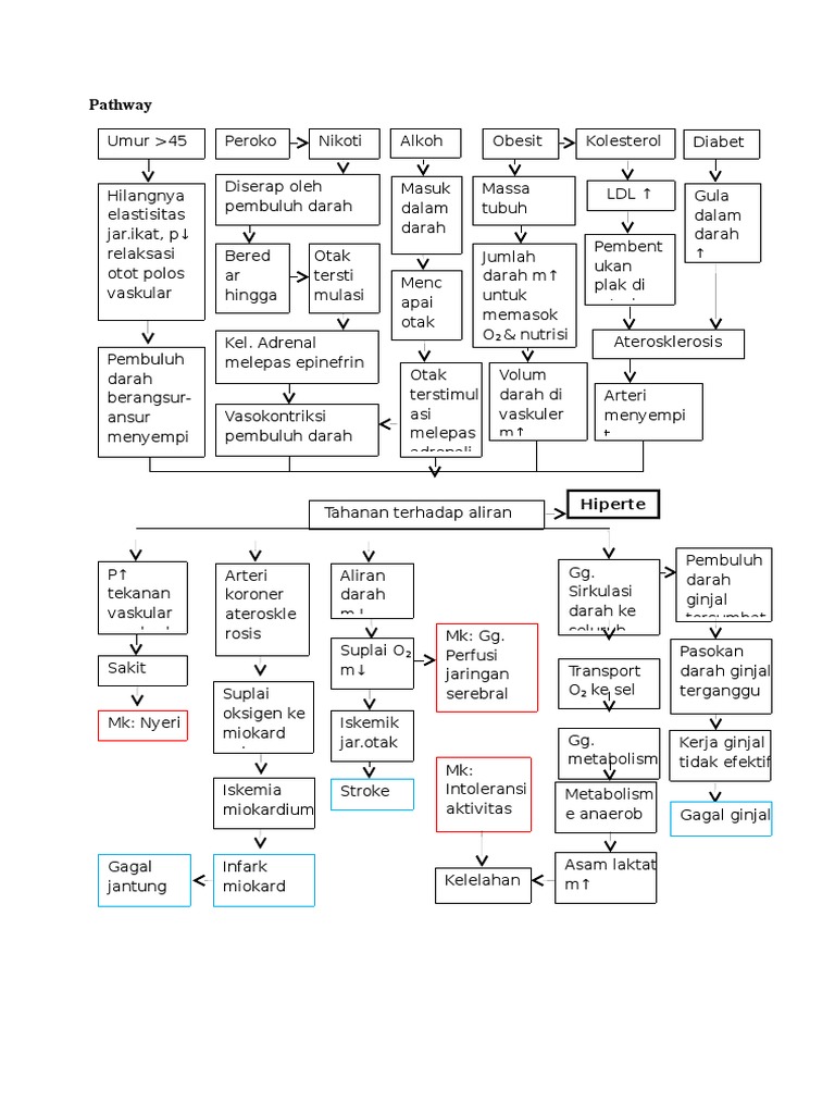 Pathway Hipertensi | PDF