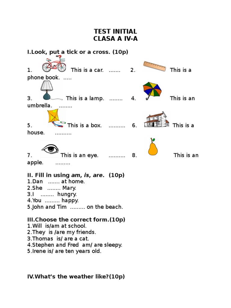 Test Initial Engleza Clasa A 4-A | PDF | Home & Garden | Wellness