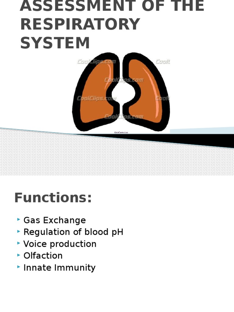 Respiratory Assessment | Respiratory System | Lung